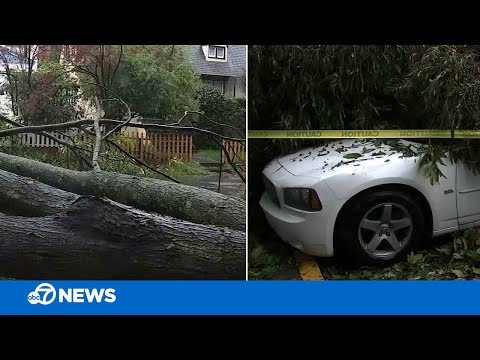 Trees continue to fall around Bay Area, trapping some residents