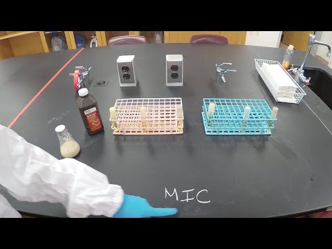 Minimal Inhibitory Concentration (MIC) and Minimum Bactericidal Concentration (MBC) - Microbiology