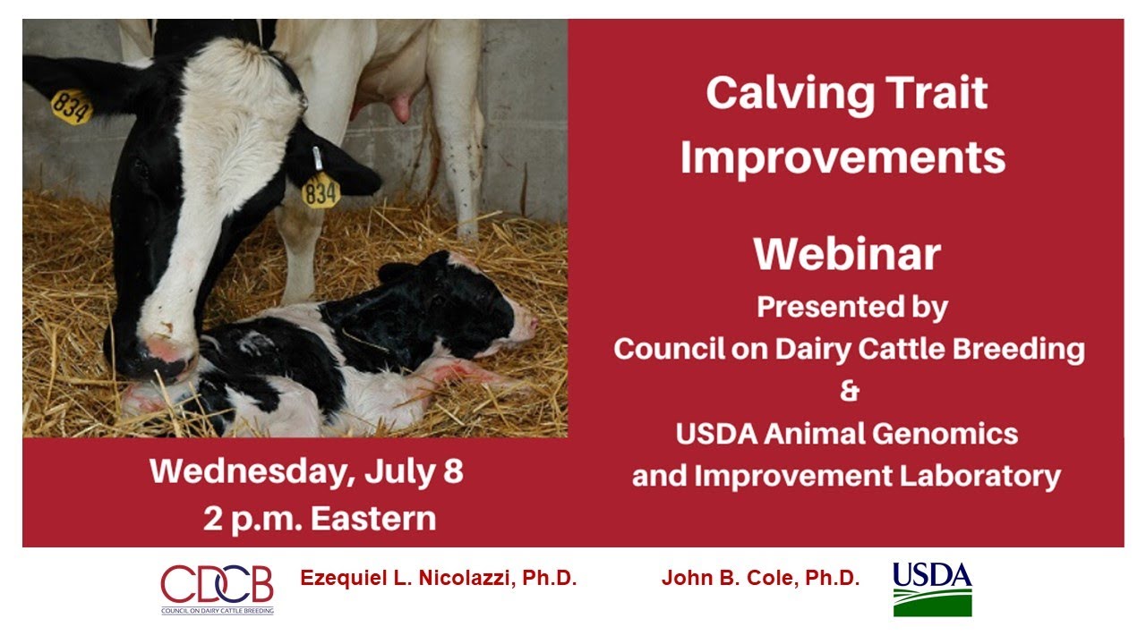 Calving Ease Improvements: August 2020. Webinar by CDCB and USDA AGIL