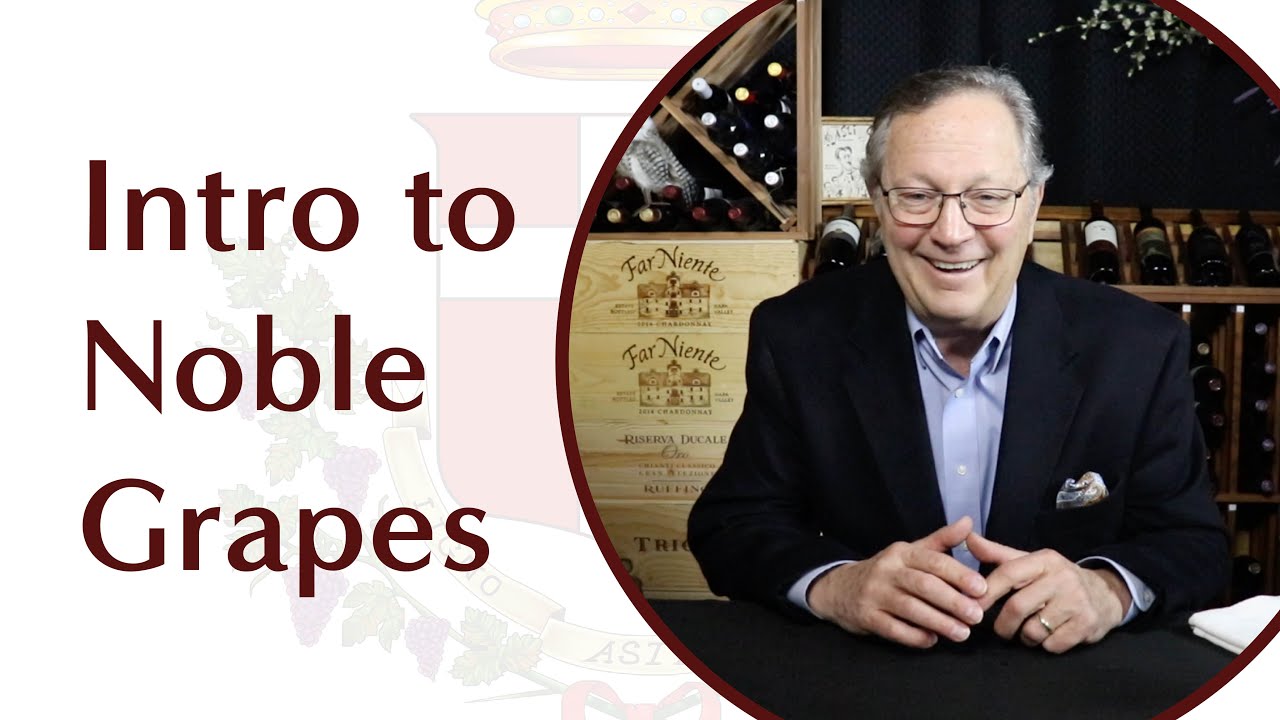 Top Wines in the World - Noble Grapes - Introduction