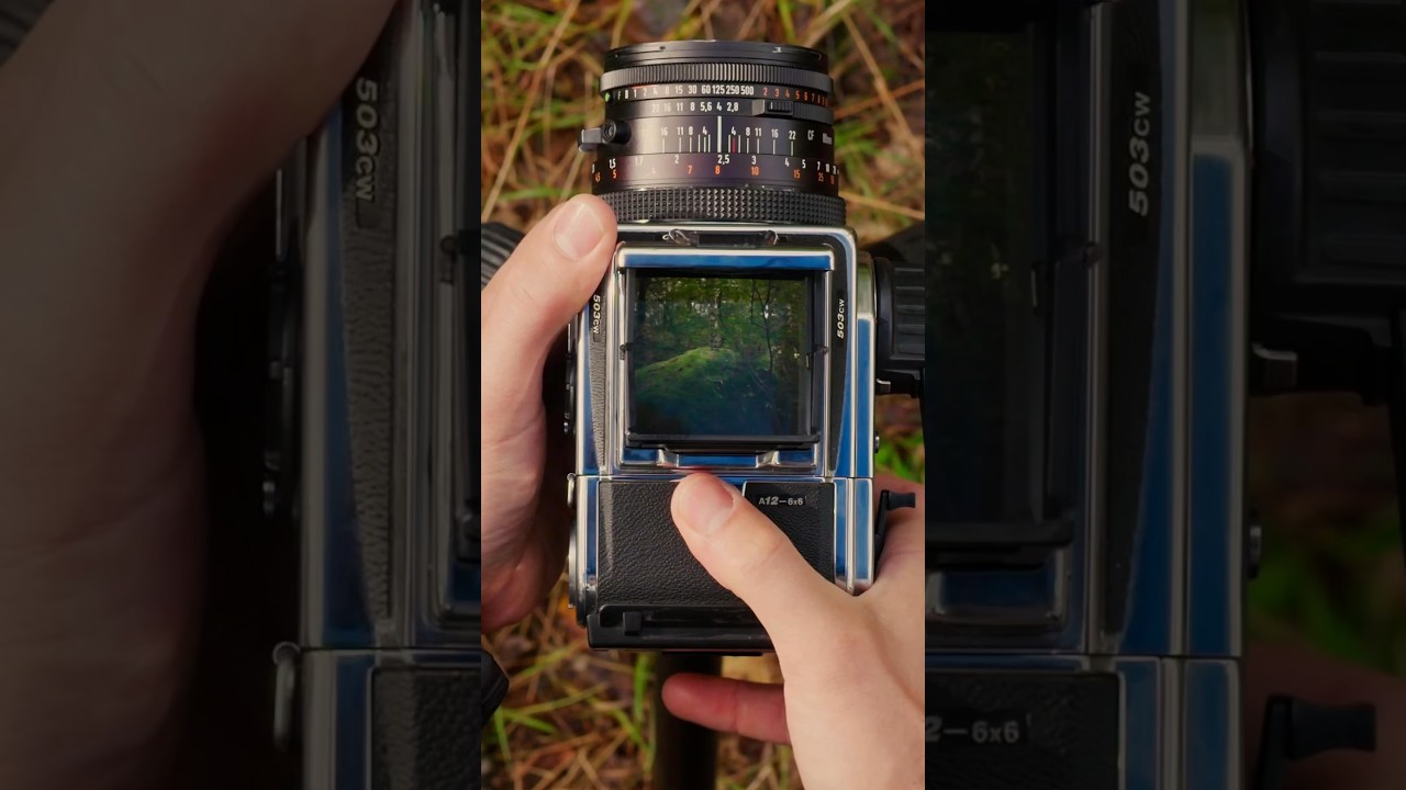 Magically transform a film camera into a digital one