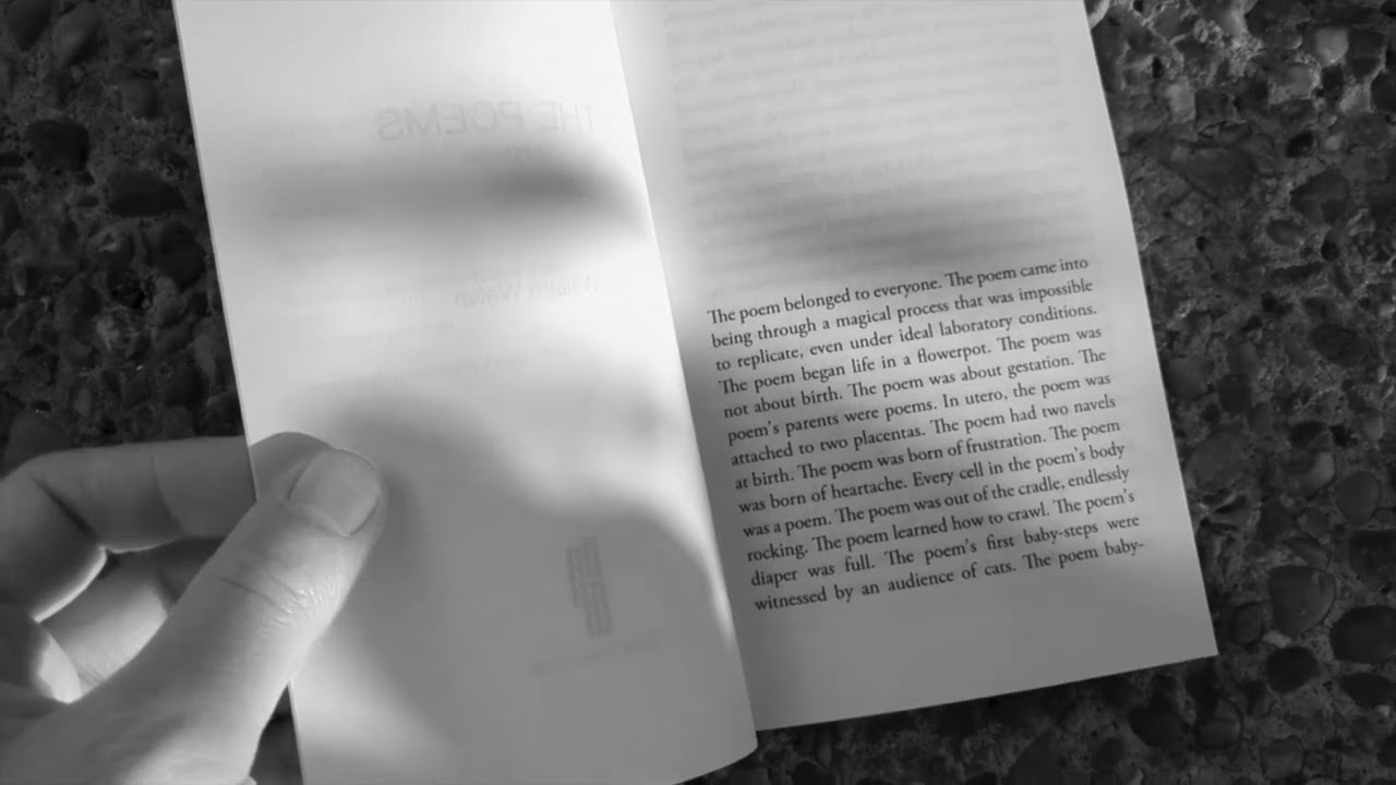 The Poems: a novella by William Walsh | *out now*