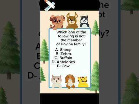Which is not the member of Bovine family|Vet Care|Veterinary|#quiz#exam#vet#education#veterinary