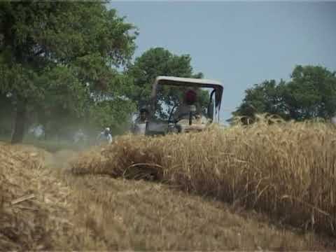 Manufacturer of Agricultural Reapers & Agricultural Equipment by Golden ...