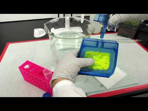 Watch how the Slide-A-Lyzer G2 cassettes enable secure and convenient dialysis