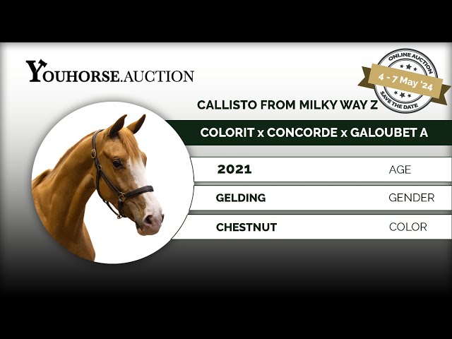 Callisto Horse What To Name Your Horse | LIST: Horse Names | Maya