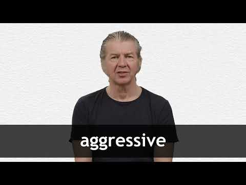 AGGRESSIVE definition and meaning | Collins English Dictionary