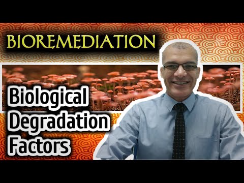 Biological Degradation Factors