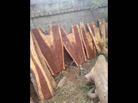 kiaat wood small slabs for liveedge floating shelves and liveedge mirror frames and soforth