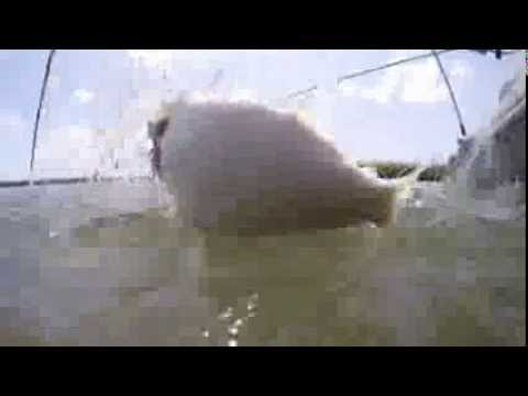 Haul Net Fishing - "Net Effect" - WRAL Documentary Bonus Content