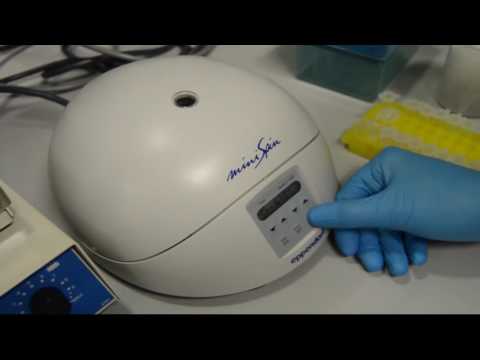 Cell lysis