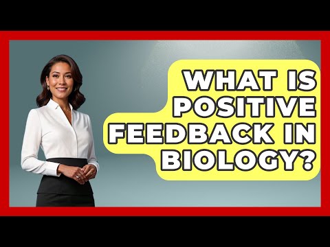 What Is Positive Feedback In Biology? - Biology For Everyone