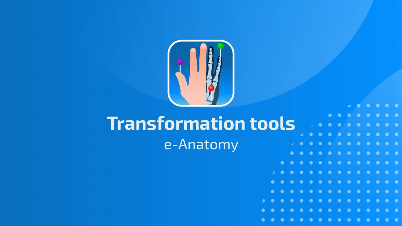 e-Anatomy: Transformation tools