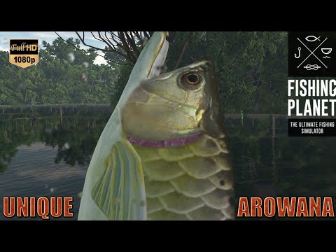 Steam Community :: Video :: FISHING PLANET #203 SPOT AROWANA UNIQUE SUR ...