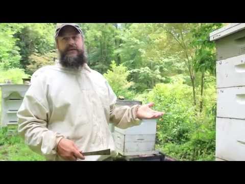 Recommended Tools for Bee Keeping