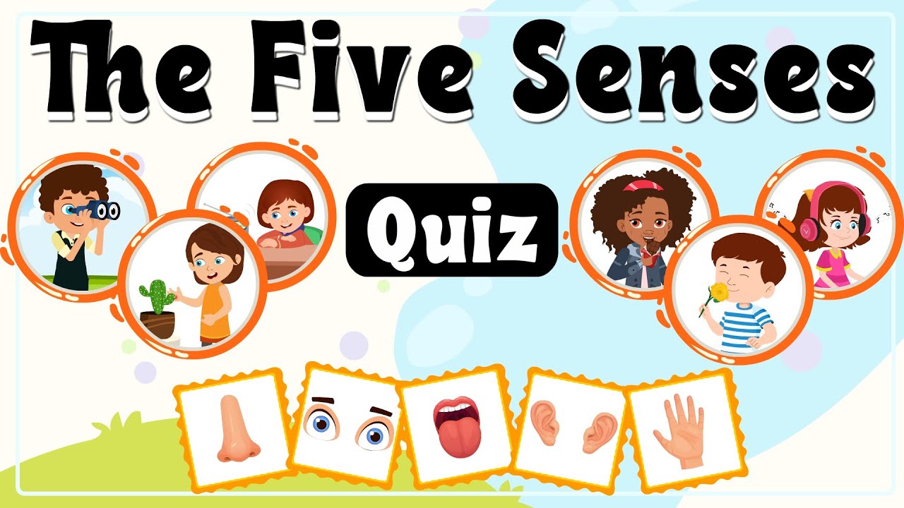 The Five Senses Quiz for Kids with Real-life Scenarios