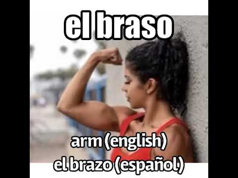 Ladino word- (el) braso