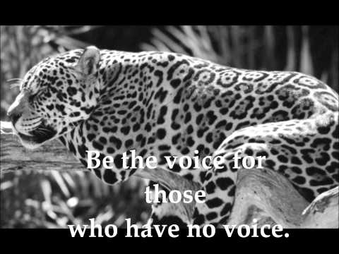 World Wildlife Fund WWF