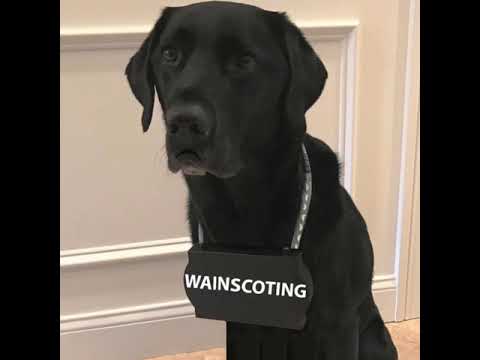 Brinley spells and pronounces Wainscoting