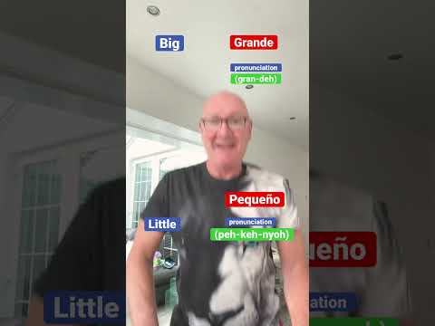 Learn Spanish - #shorts - LITTLE & BIG in Spanish - #Youtubeshorts - Spanish Lessons