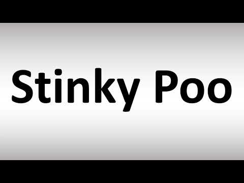 How to Pronounce Stinky Poo