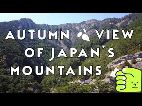 KOYO : AUTUMN 🍂 VIEW OF JAPAN’S MOUNTAINS ⛰. Taken November 2019 at Hyogo Prefecture.