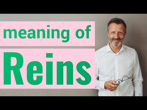 Reins | Definition of reins 📖 📖