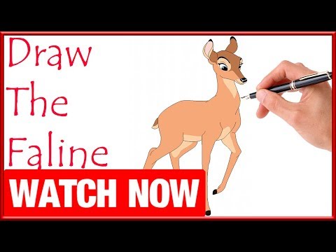 How To Draw The Faline - Learn To Draw - Art Space