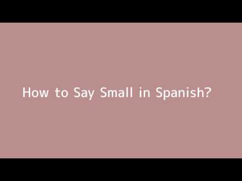 How to say Small in Spanish