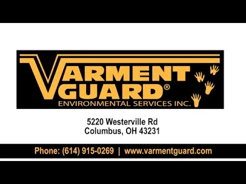 Varment Guard Environmental Services Inc - REVIEWS - Columbus, Ohio