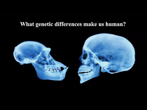CARTA: Genome Structure Variation with Evan Eichler