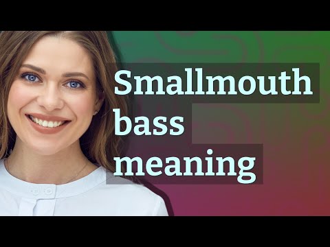 Smallmouth bass | meaning of Smallmouth bass