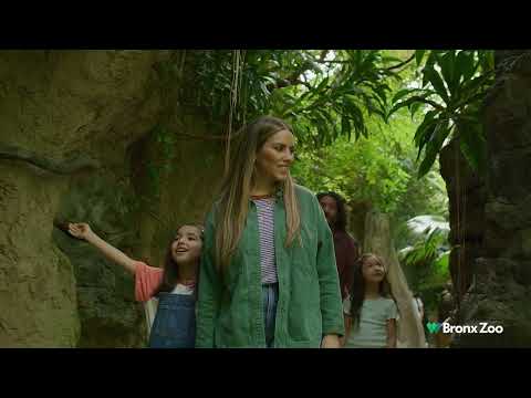 Commercial | Jungle World at the Bronx Zoo | VO by Brandon Miller #voiceover #advertising #malevoice