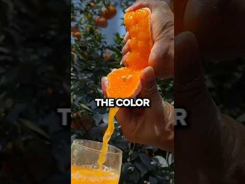 The History of Orange🍊 and Orange🟠