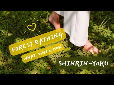 Forest Bathing Benefits | What Why & How | Shinrin yoku