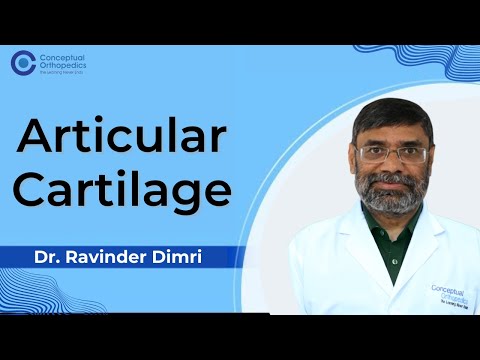 Articular Cartilage by Dr. Ravinder Dimri