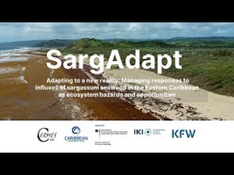SargAdapt Overview