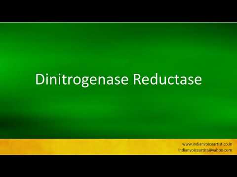 Pronunciation of the word(s) "Dinitrogenase Reductase".