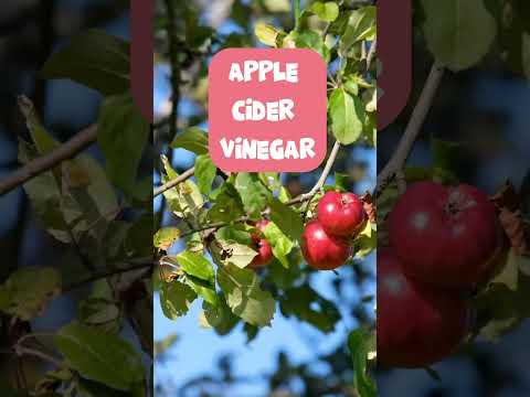 Apple Cider Vinegar Can Do That! ๐๐คฏ (Check the Description for More Benefits)