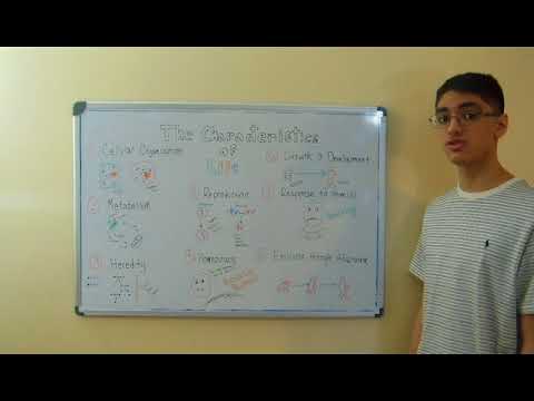 The 8 Characteristics of Life Made Easy Zane