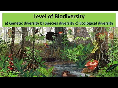 Level of Biodiversity