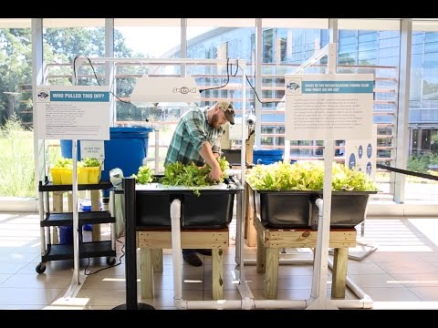 NC State - Recirculating Farms Club - Aquaponics Display