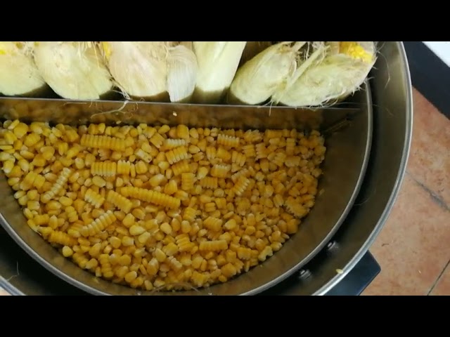Sweetcorn Machine - Tabletop Sweet Corn Machine Manufacturer from New Delhi