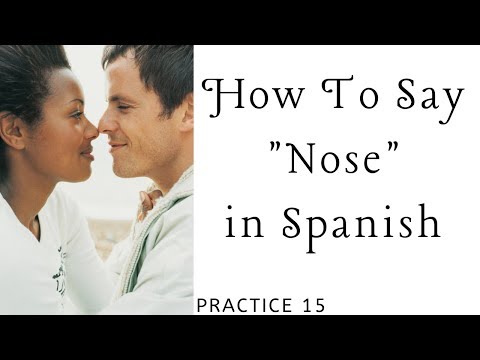 Learn Spanish - How To Say "Nose" in Spanish