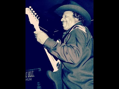 Lonnie Brooks @ Spring Blues Festival, Belgium (1990)