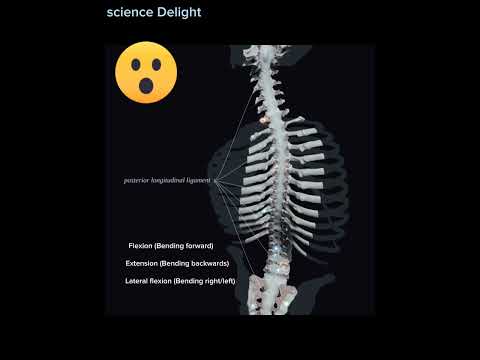 Movement of spine| Movement of vertebral column #biology #pgc