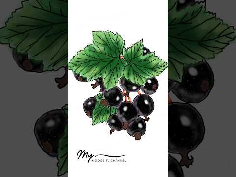 Coloring Blackcurrant | Coloring for kids #shorts #coloring #blackcurrant