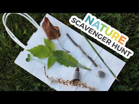 Nature Scavenger Hunt