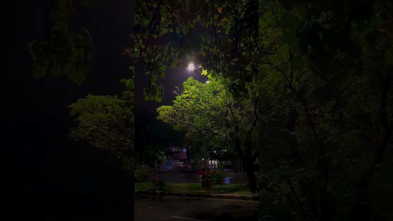 ll Na Main Janu ll 💞#newsong #beautiful ❤#naturephotography #aestheic #aestheticstatus