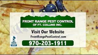 3 Best Pest Control Companies in Fort Collins, CO - ThreeBestRated